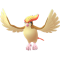 Pidgeot (Pokémon GO) - Best Movesets, Counters, Evolutions and CP